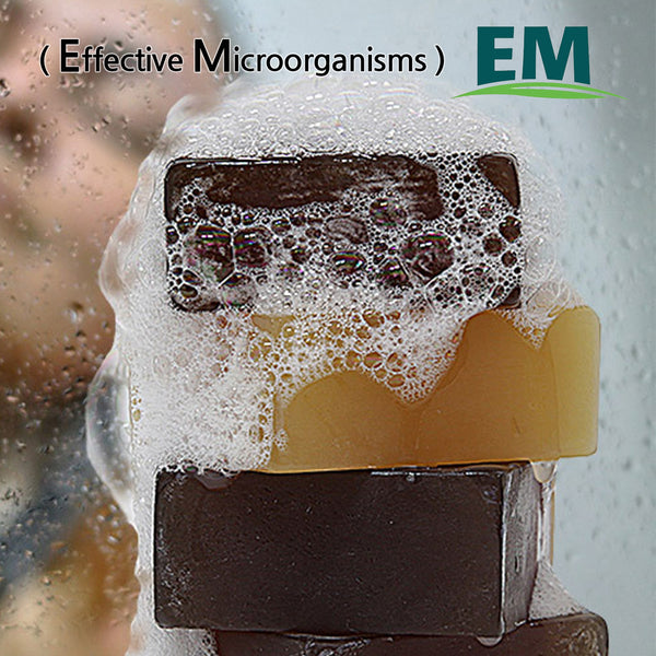 EM Basic Dr. Benjamin Handmade Soap | 한방 EM 베이직 비누 – Princeherb.com