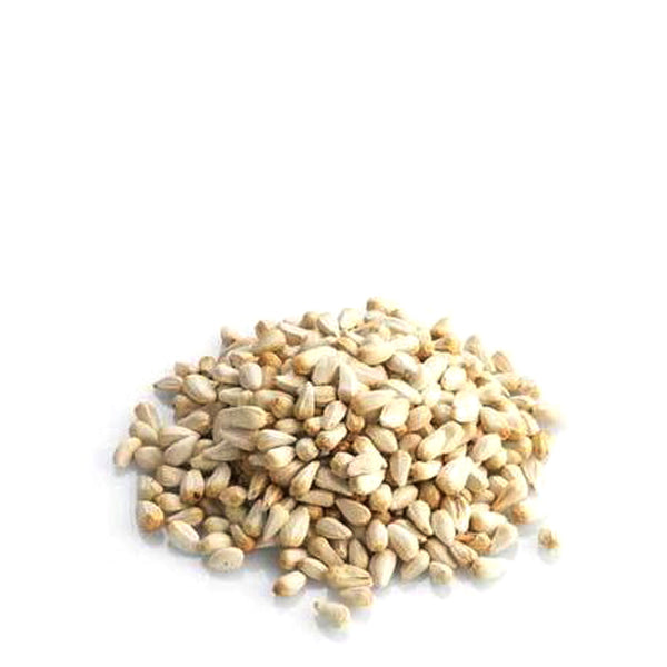 Safflower Seed (Carthamus Tinctorius) | [한국산] 홍화씨 – Princeherb.com