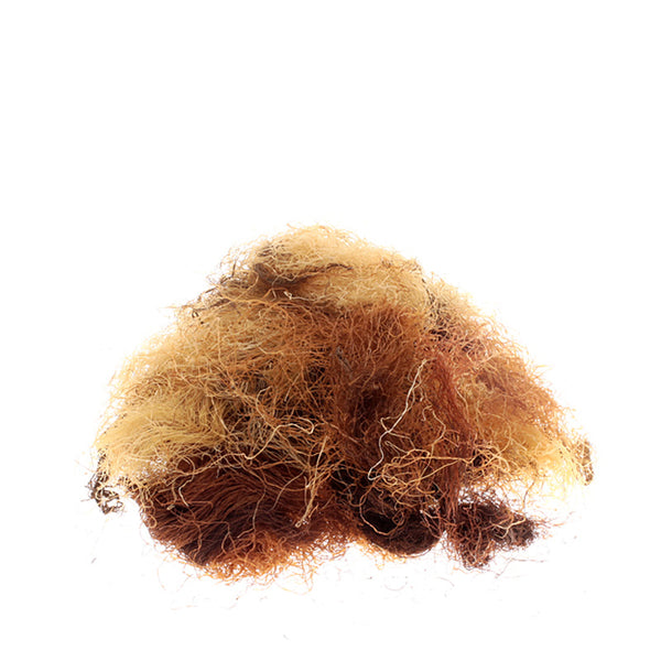 Corn Silk (Corn Mustache) | [한국산] 옥수수 수염 – Princeherb.com